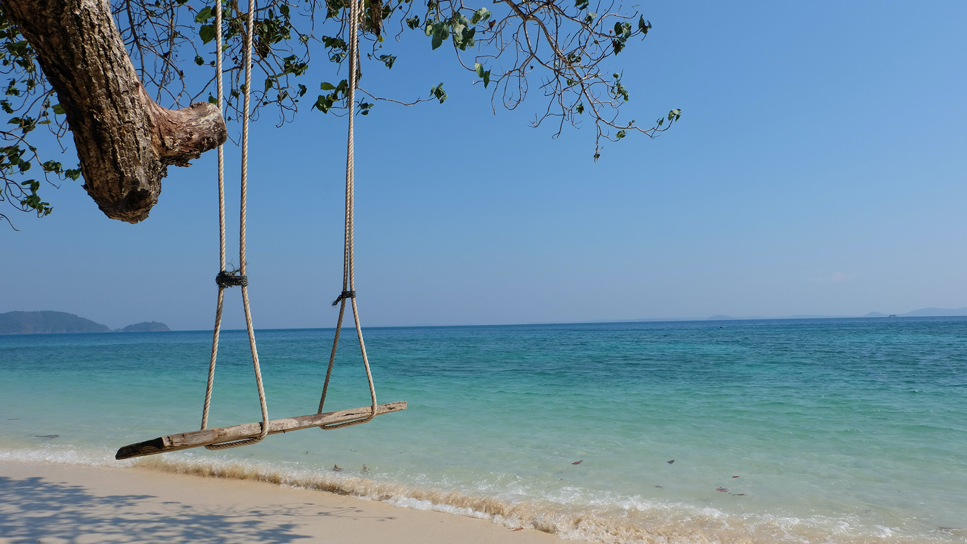 The Wellness Company – Official Website of The Wellness Company
